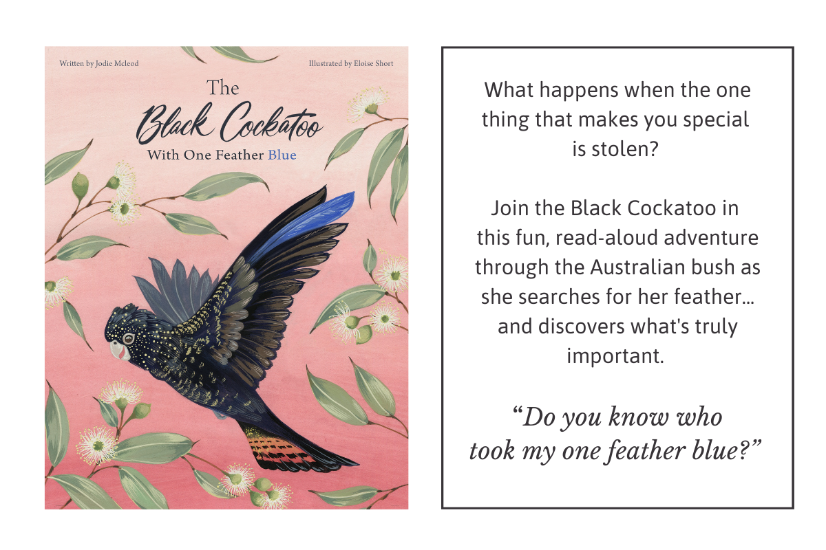 Black Cockatoo With One Feather Blue – National Trust Shop