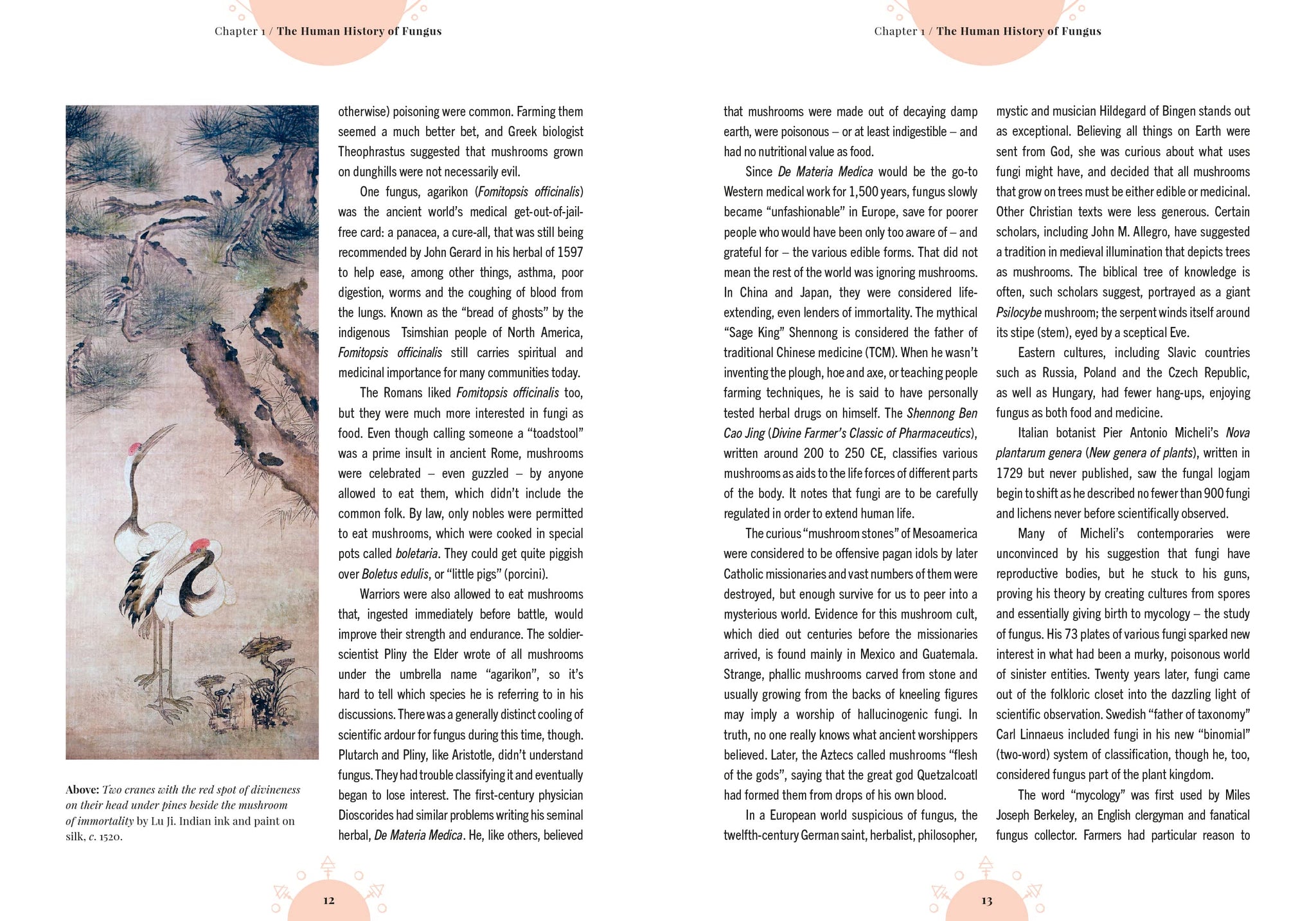 Magic of Mushrooms: Fungi in folklore, science and the occult ...