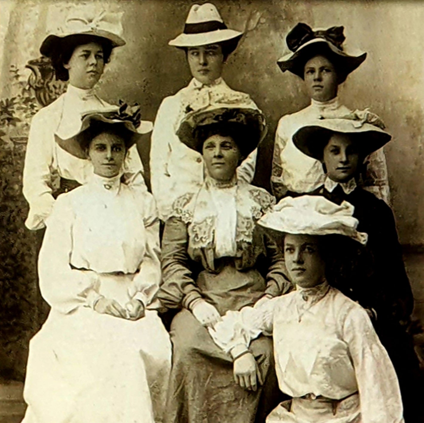 The ladies of Saumarez – National Trust Shop